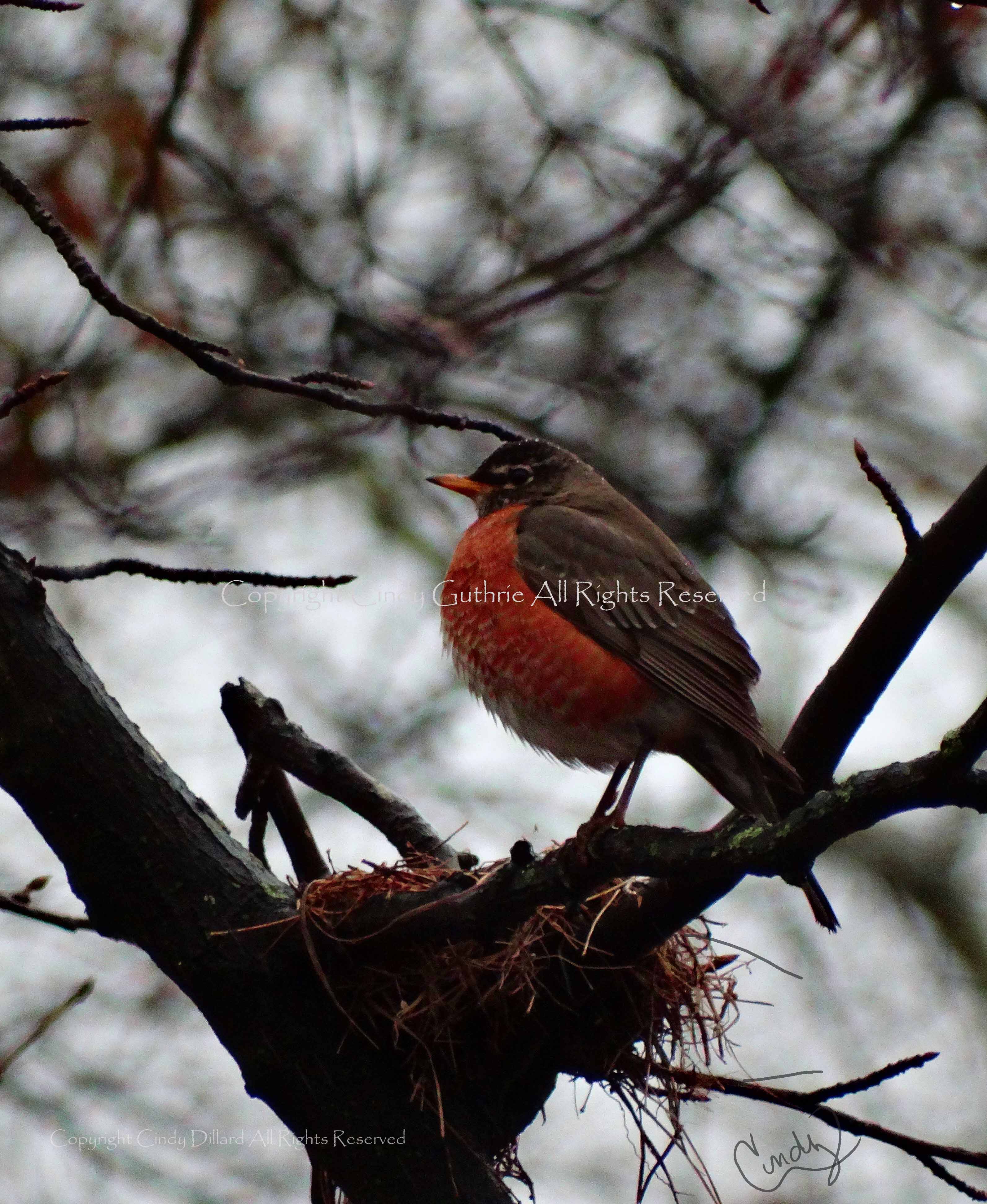 DSC00424 mod – Guthrie Farms
